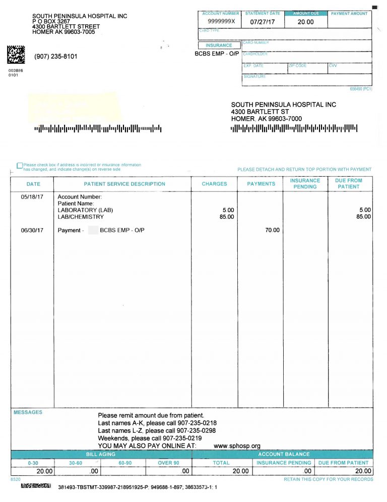 Sample Invoice (click for a larger view) - South Peninsula Hospital